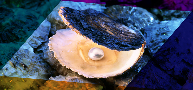 Čuvari ravnice - DA LI ZNATE KAKO NASTAJU BISERI?